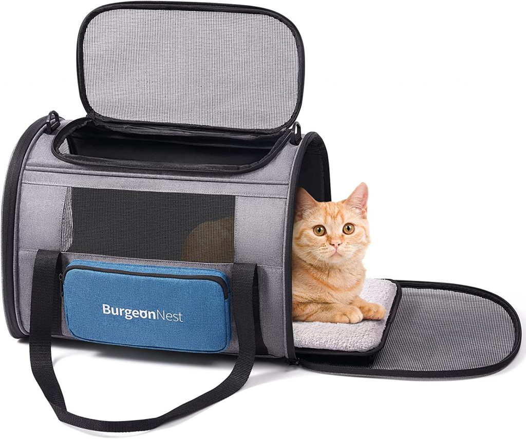 Buy Cat Carrier for Large Cats with 4 Ventilated Windows | Peppycats